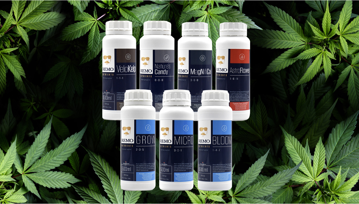 Remo Nutrients Feeding Chart | Usage Guide | Fast Buds Remo Nutrients Feeding Chart | Usage Guide | Fast Buds
